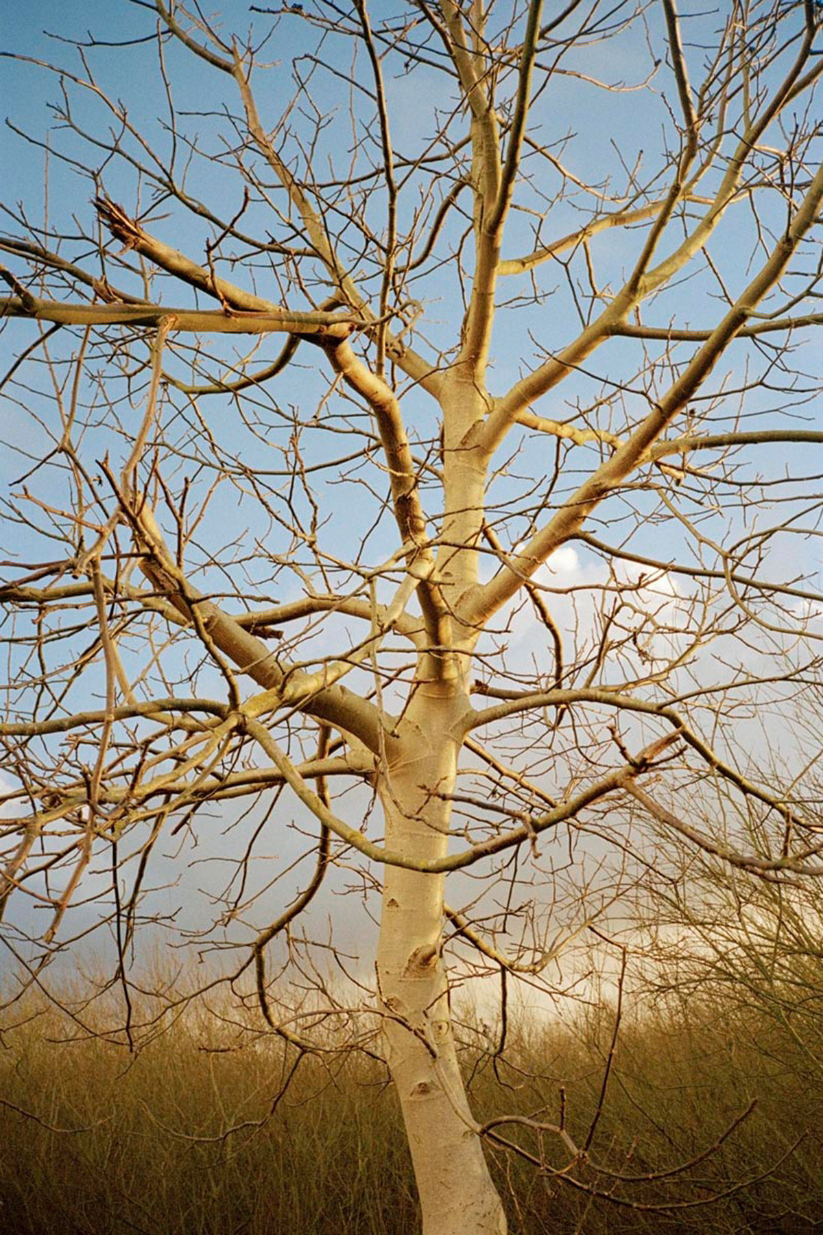 Selected works by Eva Vermandel