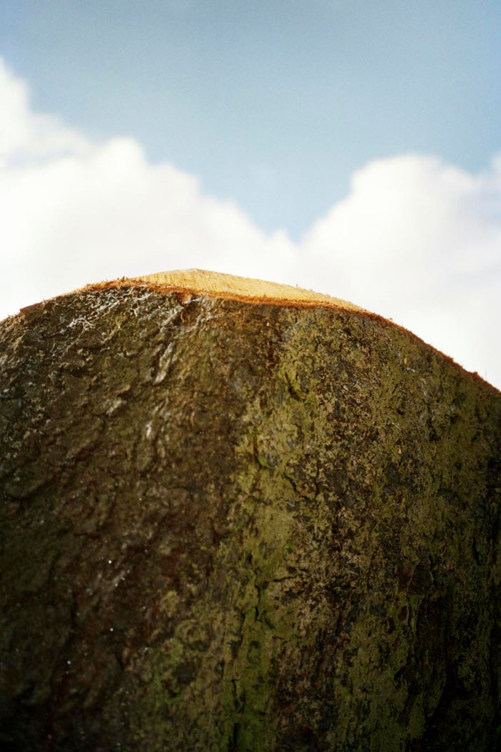 Selected works by Eva Vermandel