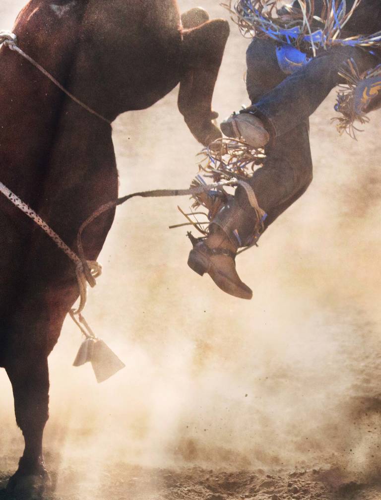 Selected works by Anna Ottum