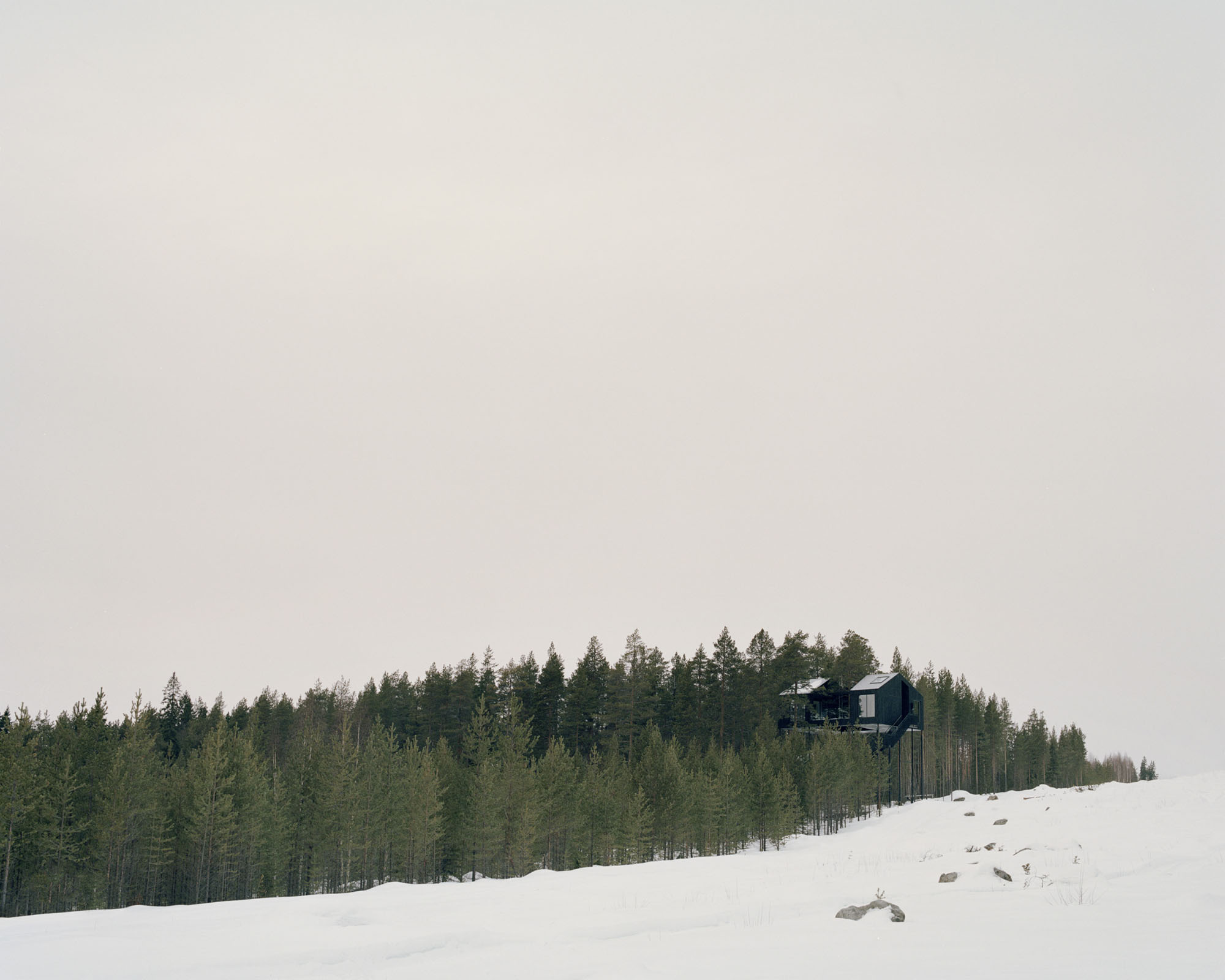 The 7th Room at the Treehotel by Snøhetta