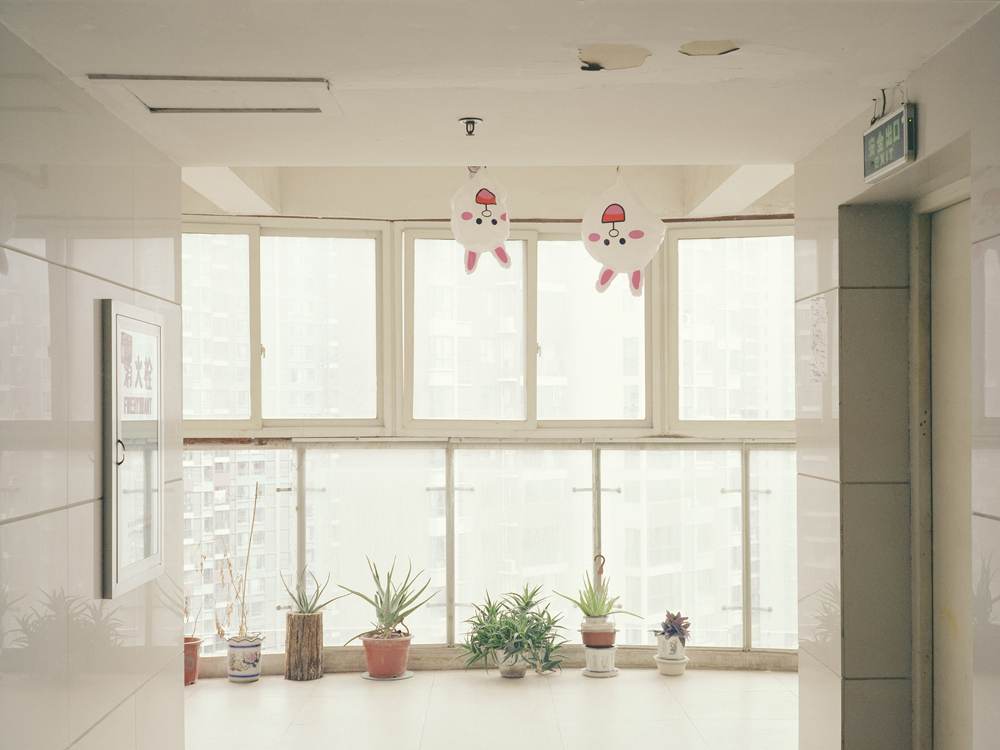 A walk through Wuhan by Fergus Coyle