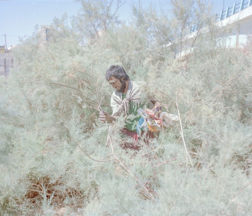 An Elegy for the Death of Hamun by Hashem Shakeri