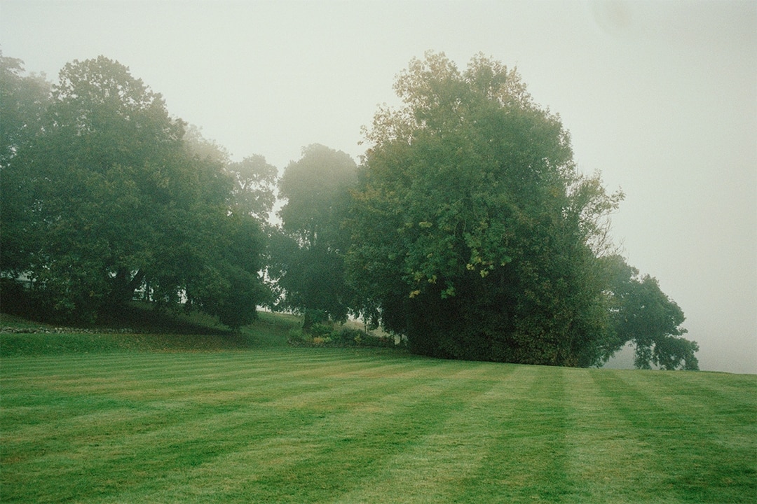 Selected photographs by Piczo