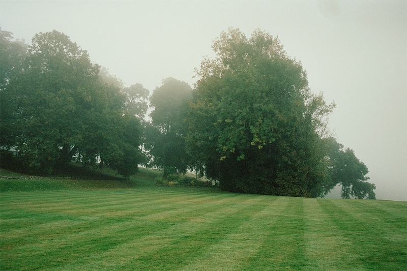 Selected photographs by Piczo