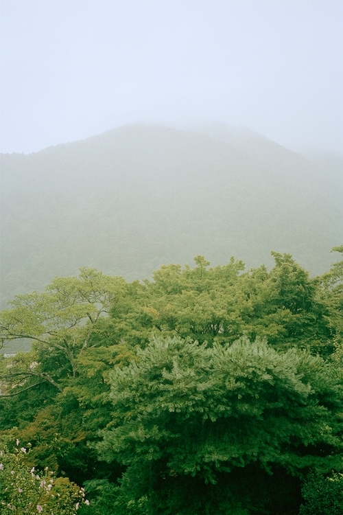 Selected photographs by Piczo