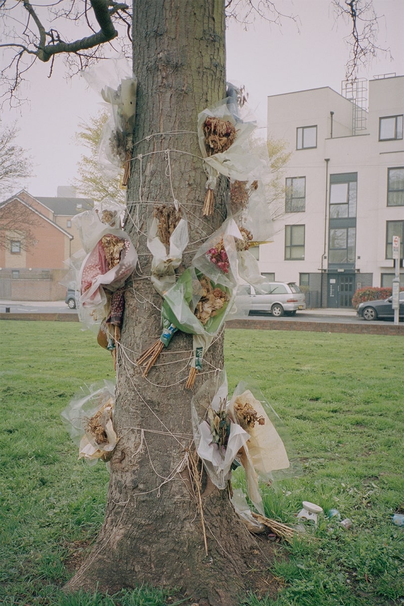 Selected photographs by Piczo