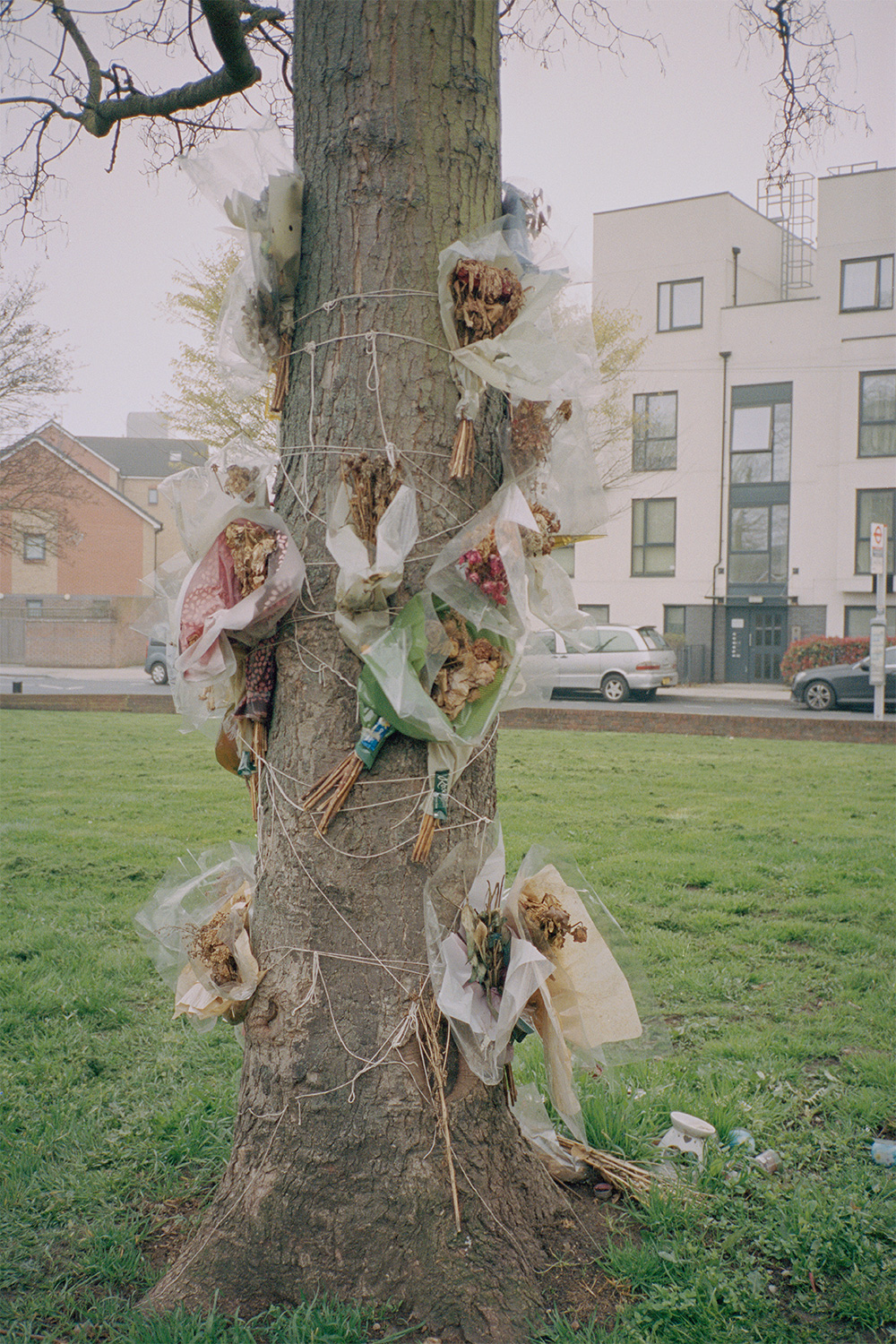 Selected photographs by Piczo