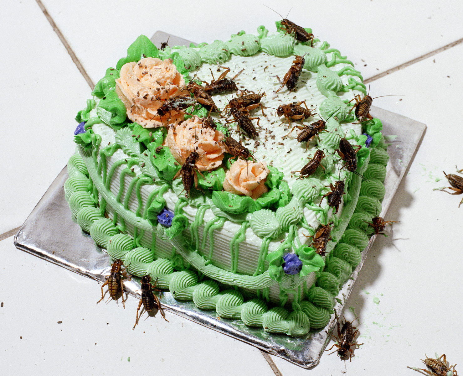 164° on the Equator by Charles Negre & Thomas Rousset