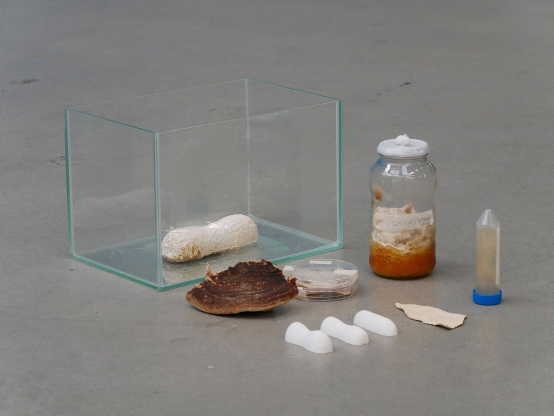 Living Cocoon by Bob Hendrikx