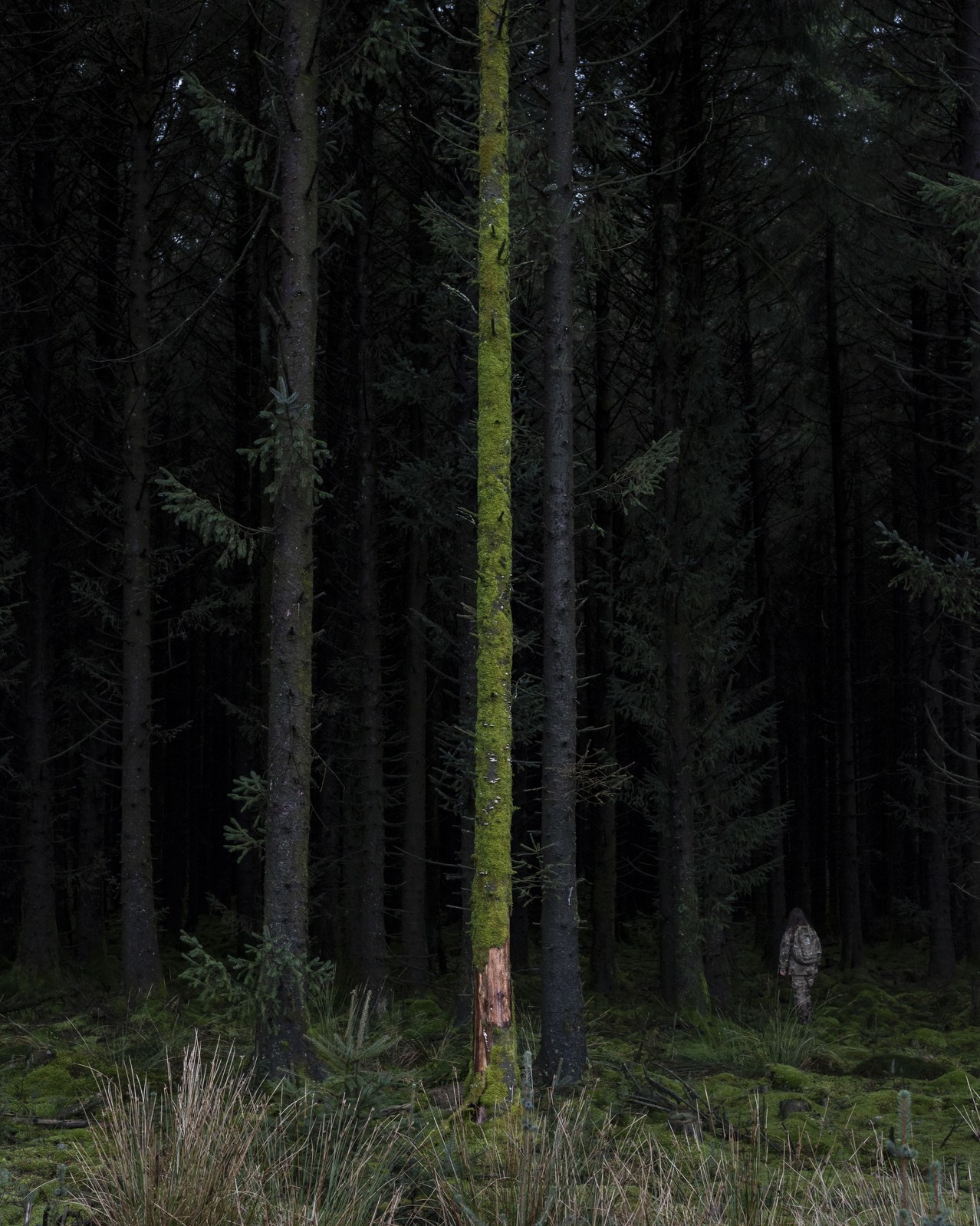 The Moor by Robert Darch