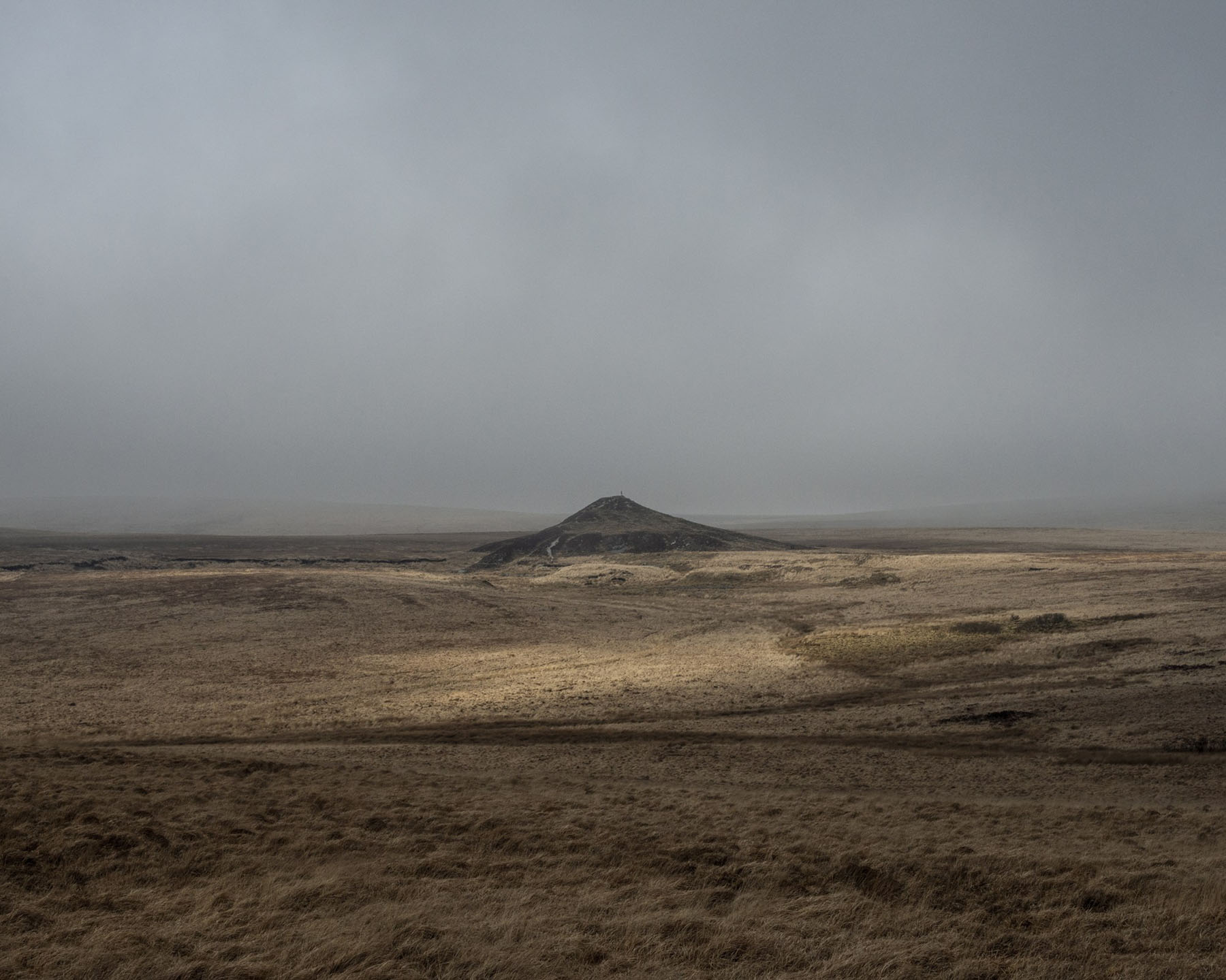 The Moor by Robert Darch
