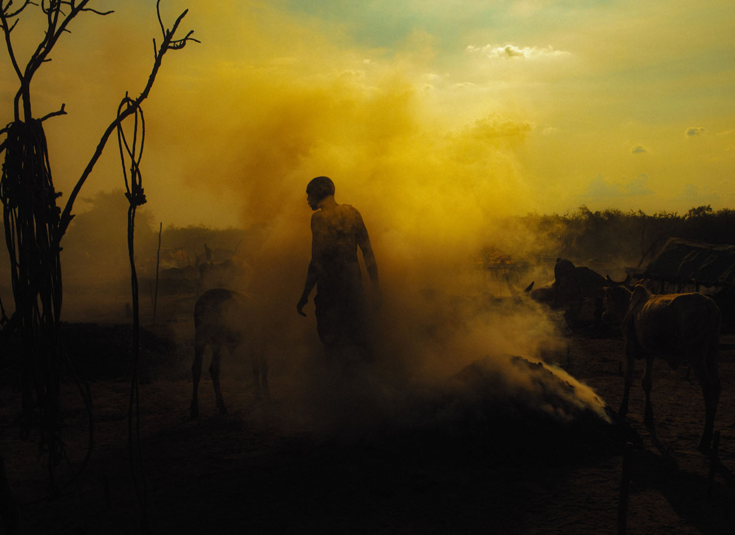 Selected works by Jeremy Snell