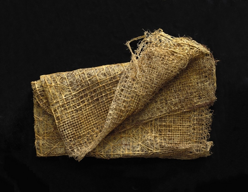 Rootbound by Diana Scherer