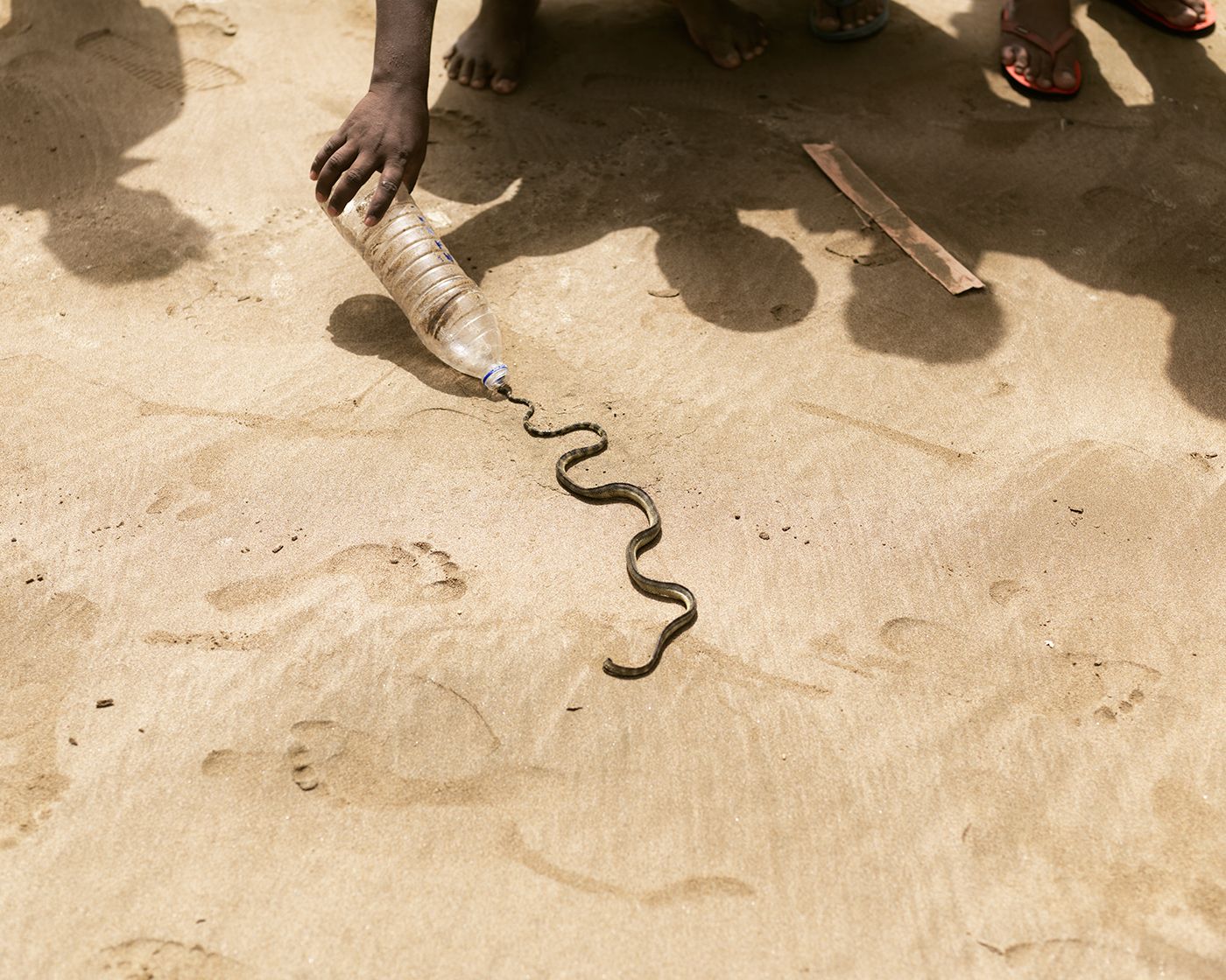 LIKE by Ryan Debolski