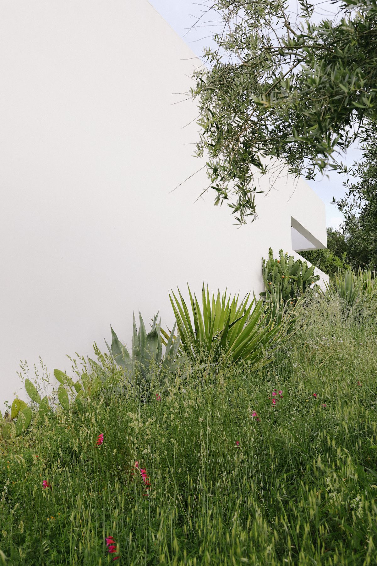 Villa Extramuros captured by Thisispaper Studio