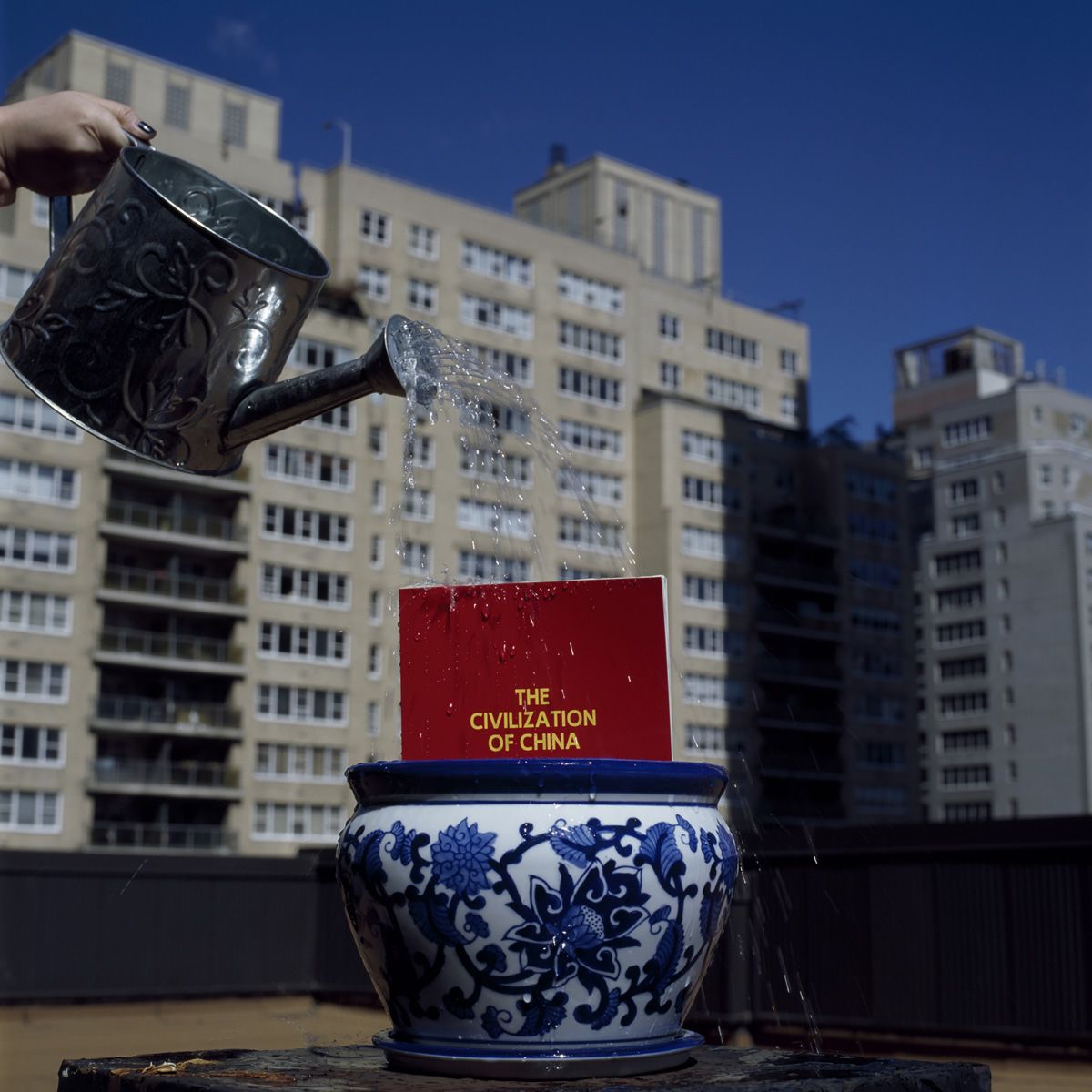 Daily Talk by Yichen Zhou