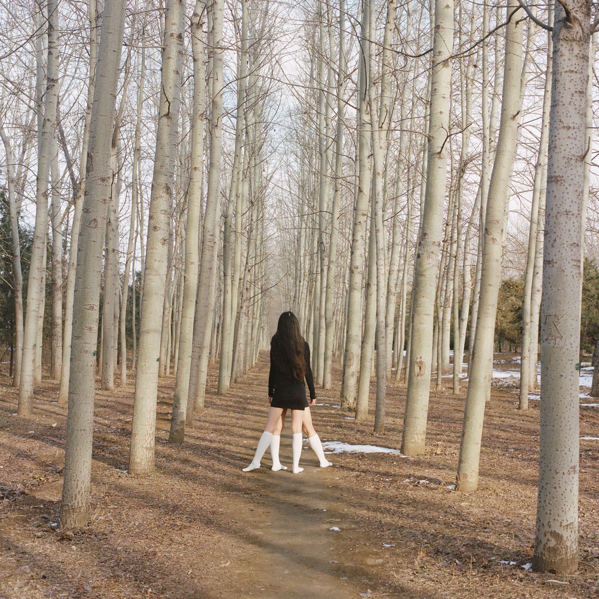 Daily Talk by Yichen Zhou