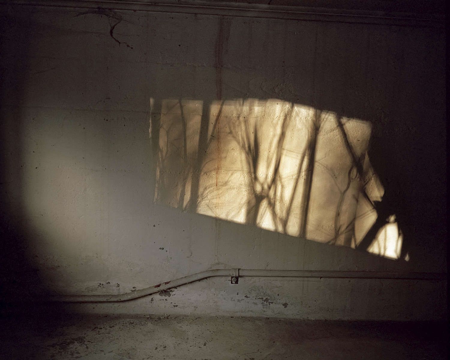 Sylvania by Anna Beeke