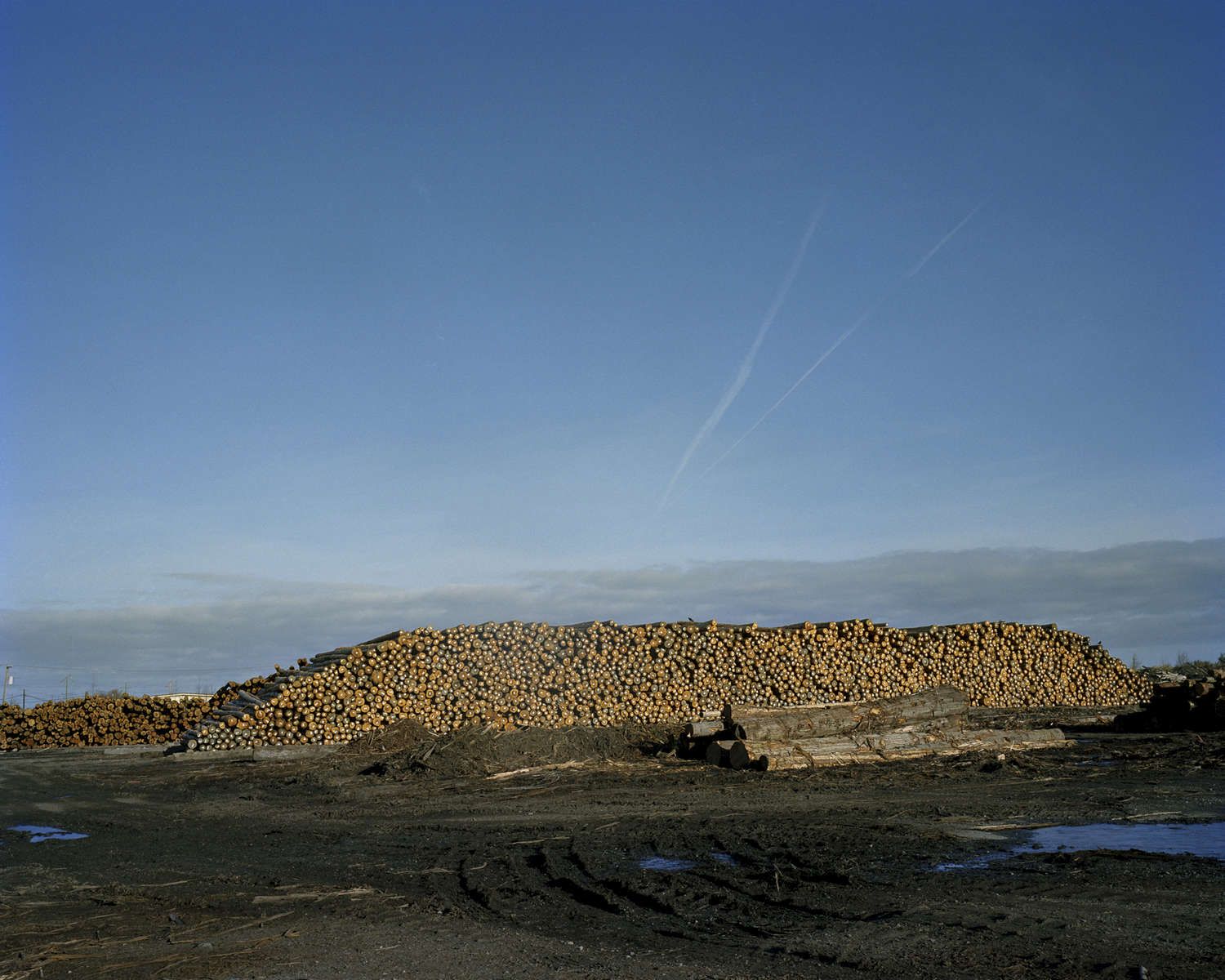 Sylvania by Anna Beeke