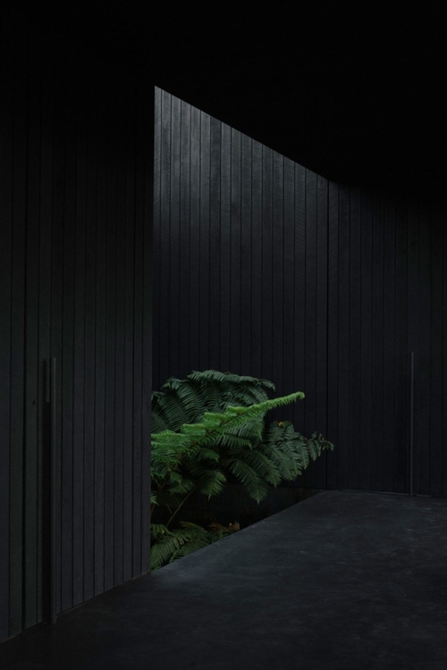 Federal House by Edition Office