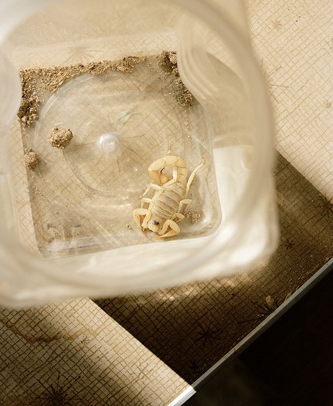 East of Jesus by Rhombie Sandoval