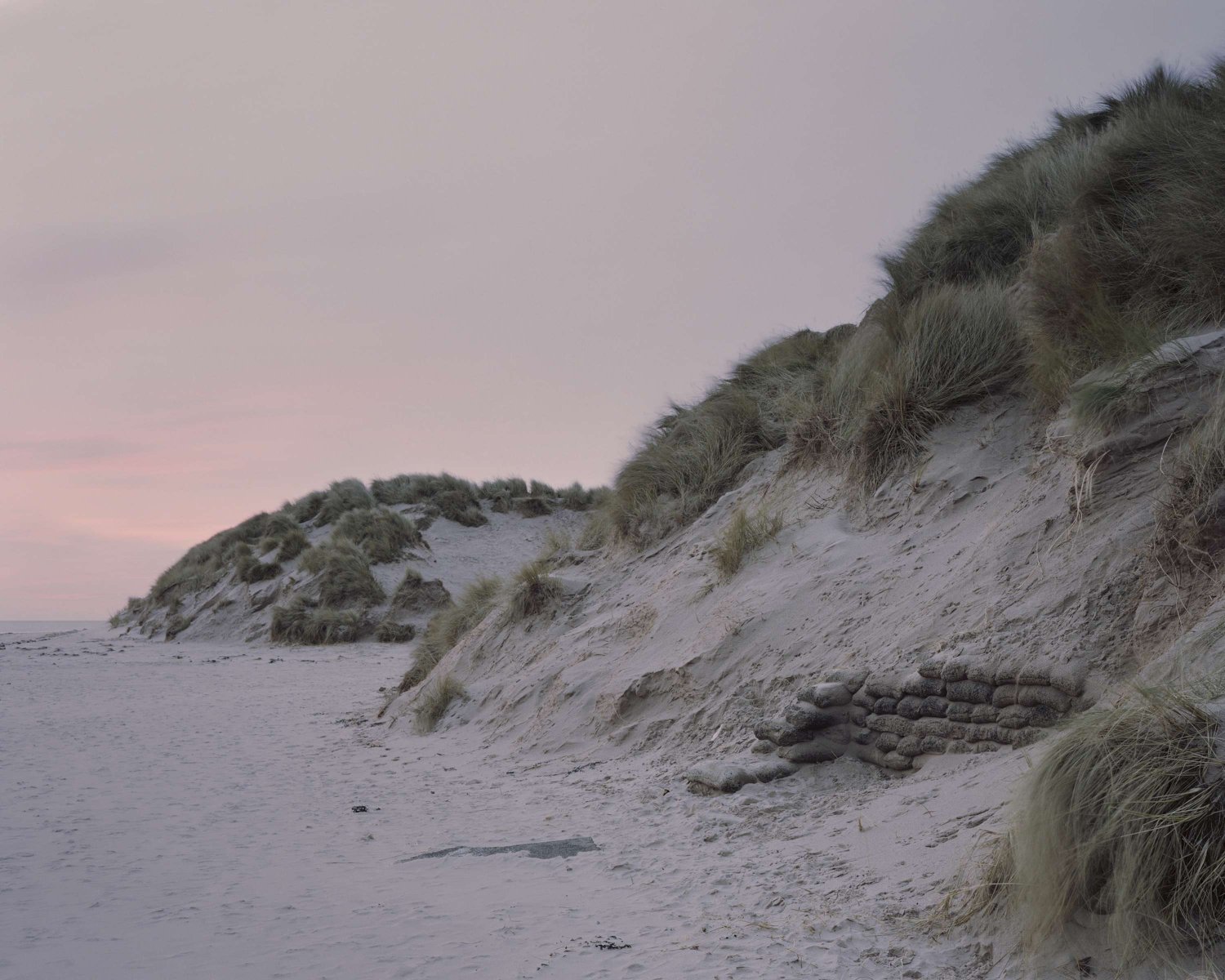 The Last Stand by Marc Wilson