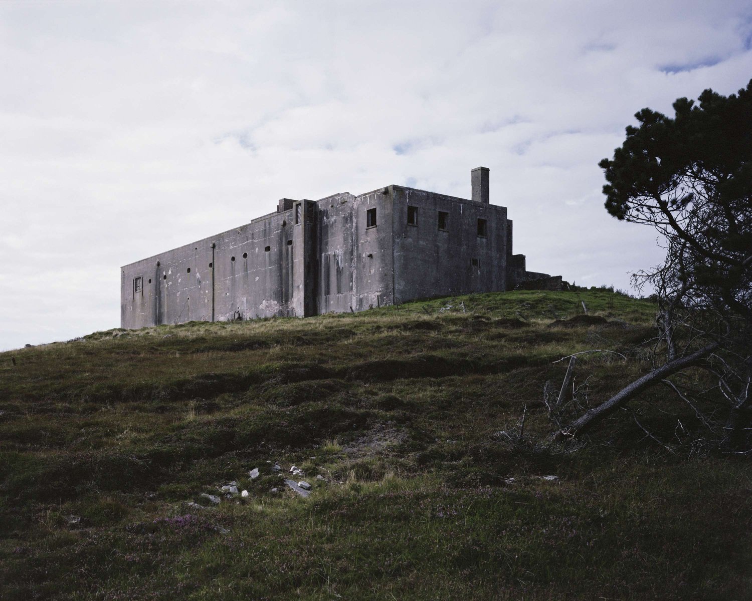 The Last Stand by Marc Wilson