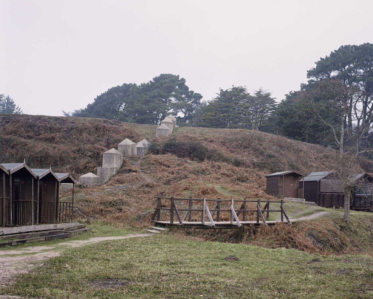 The Last Stand by Marc Wilson