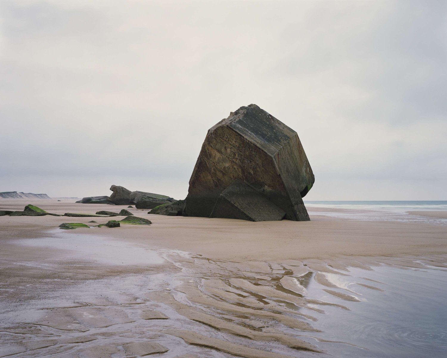 The Last Stand by Marc Wilson