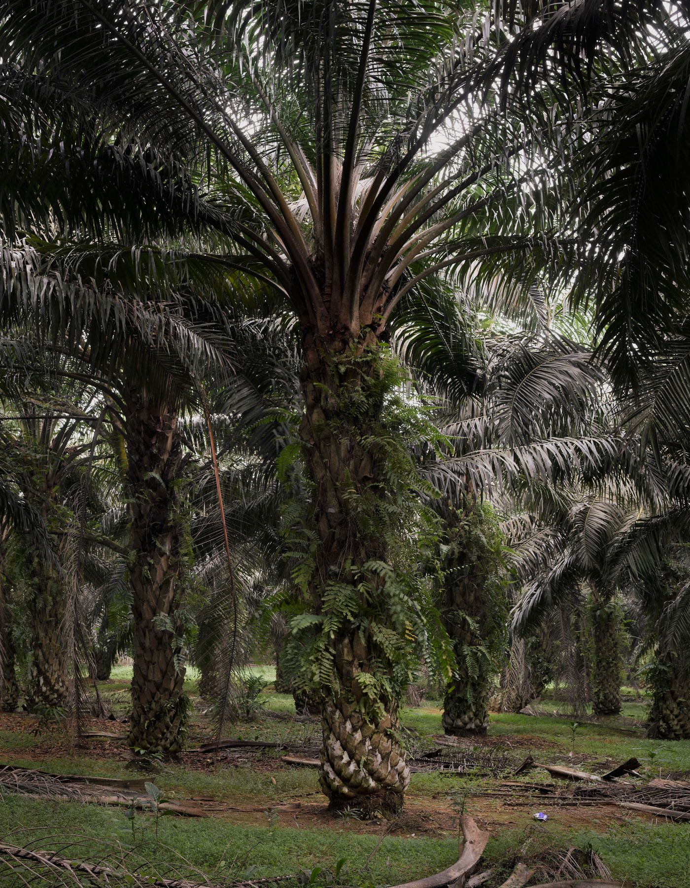 Selected works by Bas Princen