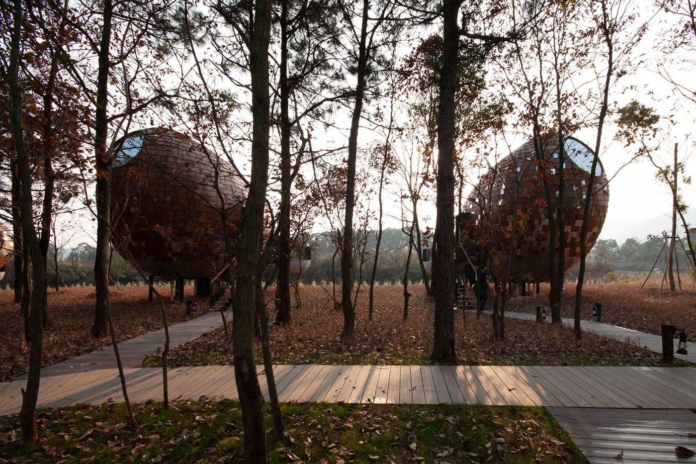 The Seeds Houses by ZJJZ Atelier