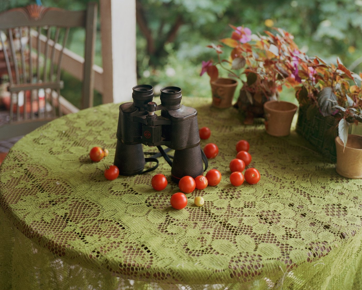 One Sun, One Shadow by Shane Lavalette