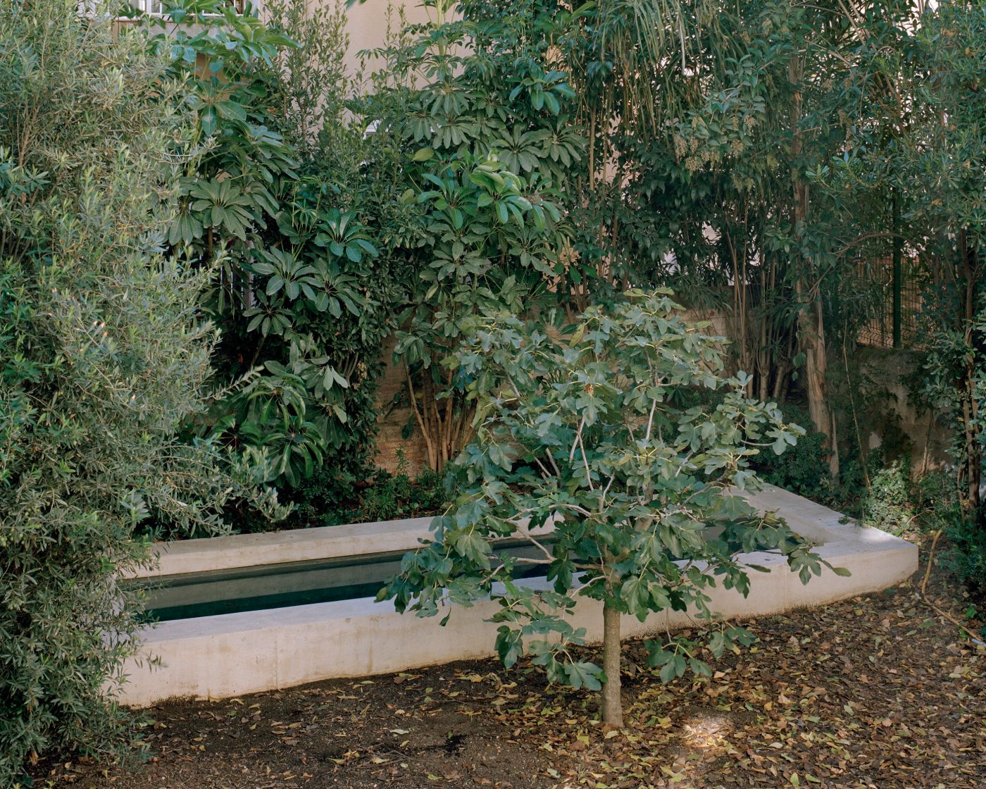 Verdi House by Arquitectura G