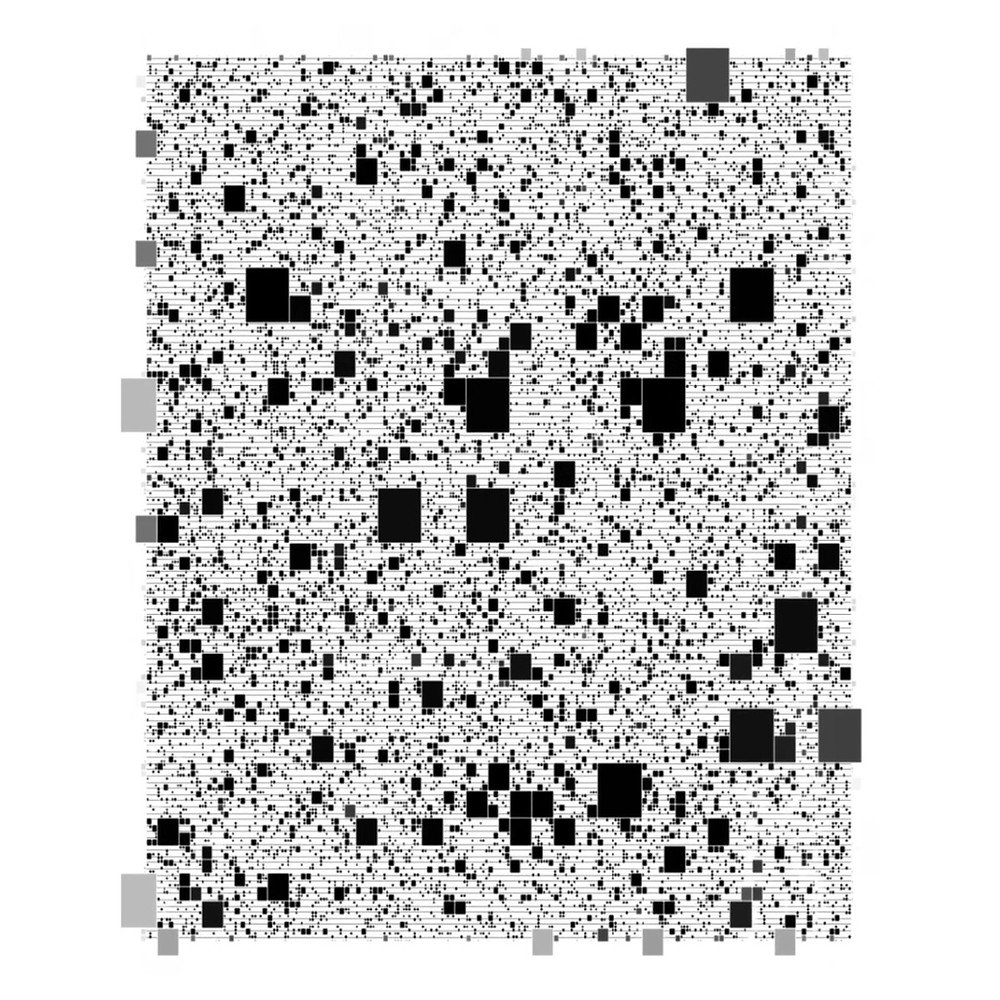 Selected works by IX Shells (Itzel Yard)