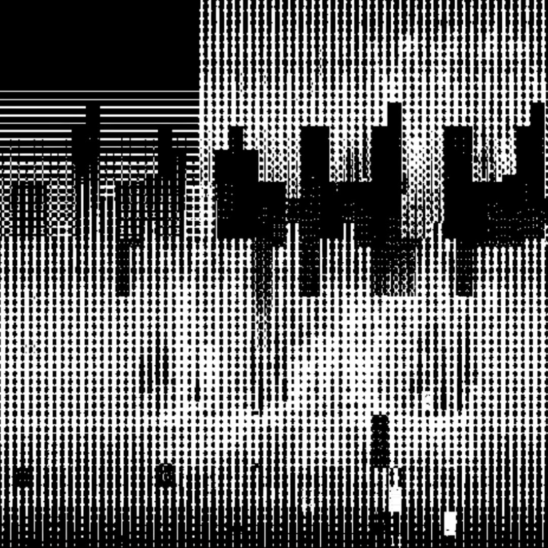 Selected works by IX Shells (Itzel Yard)