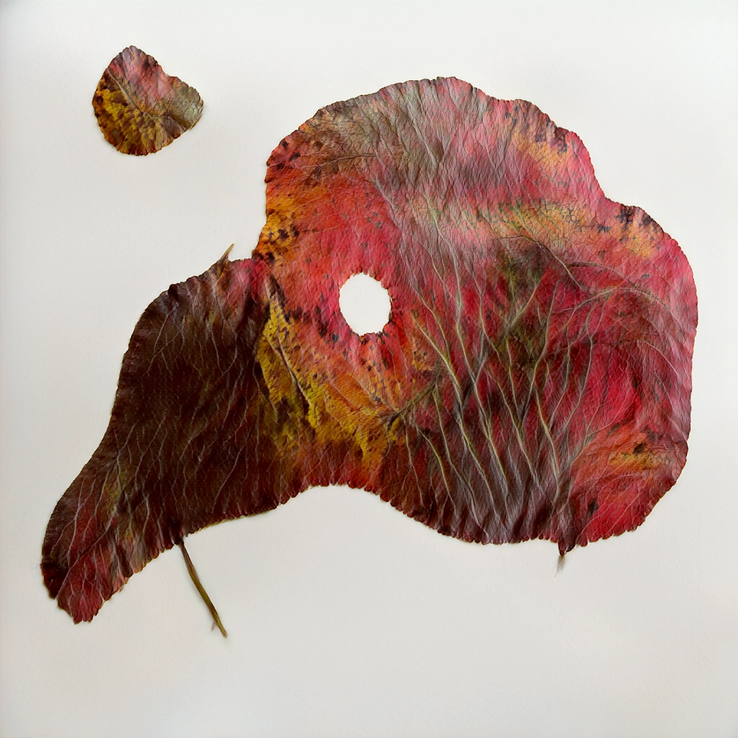 Selected AI works by Helena Sarin