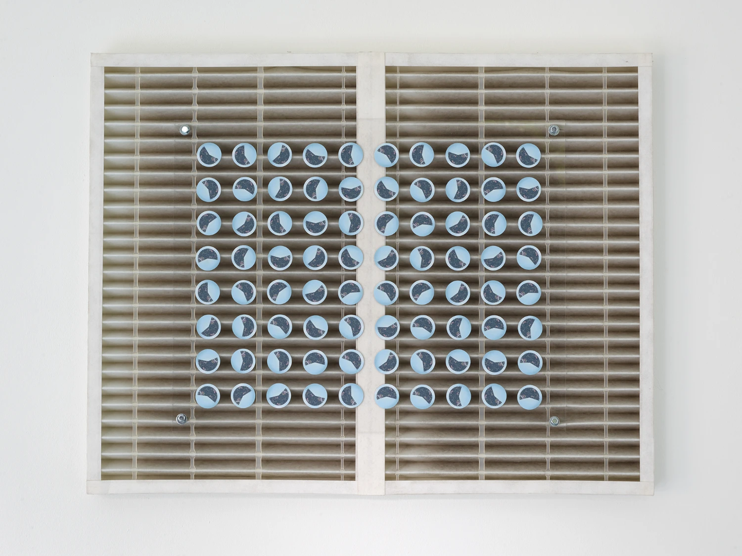 Terraforming by Sarah Friend