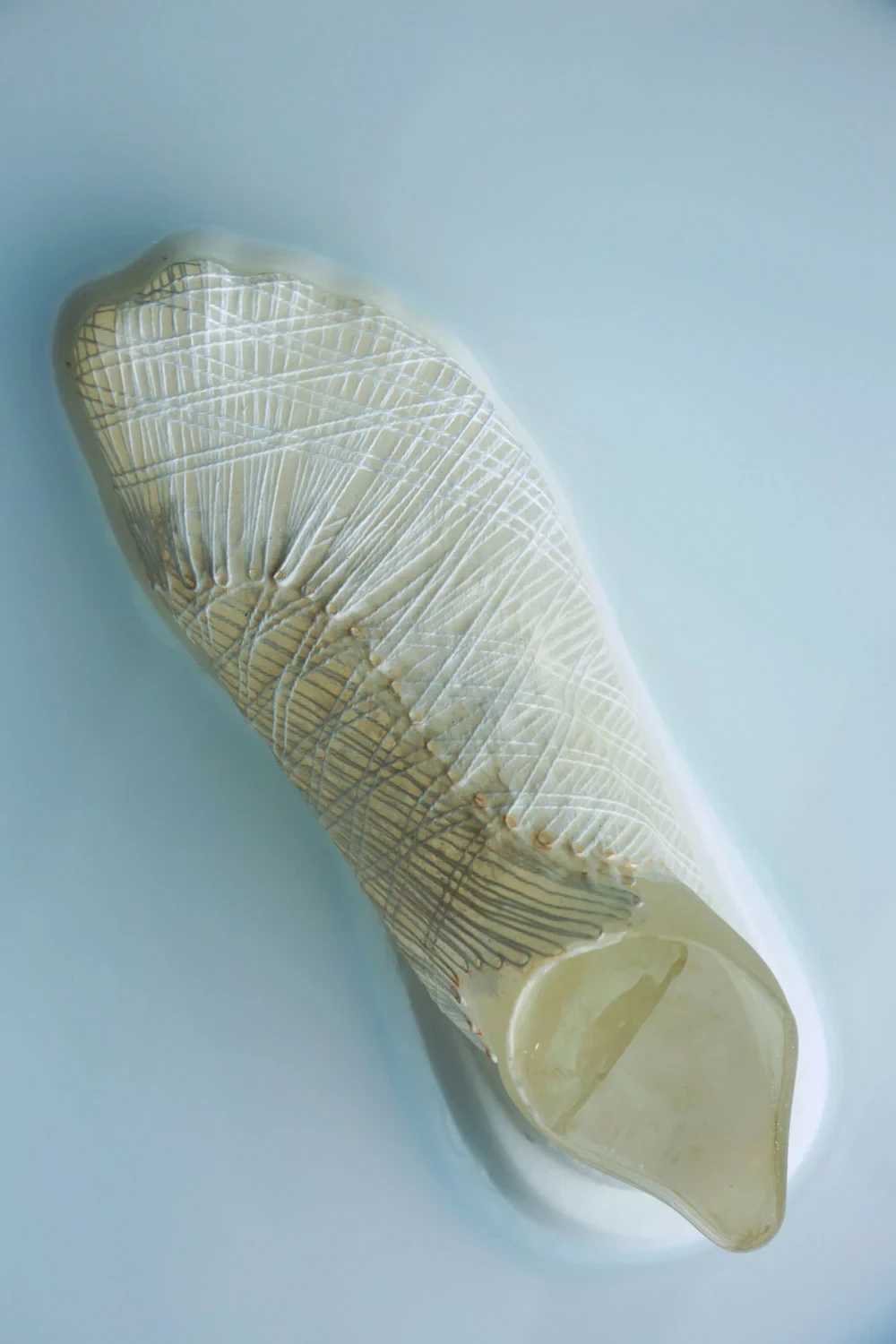 Biomaterials by Modern Synthesis