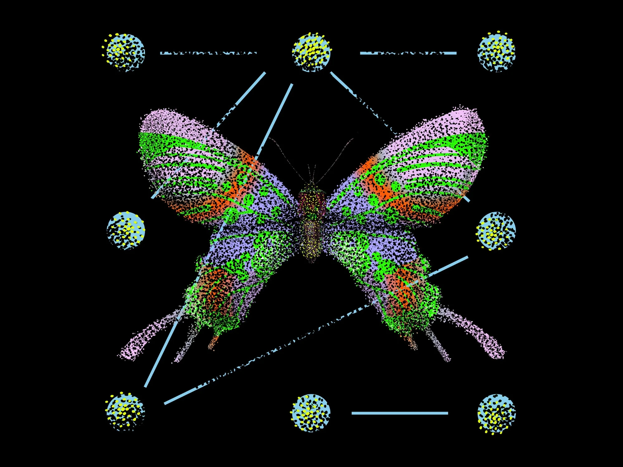 Monarchs by Eric Hu + Roy Tatum