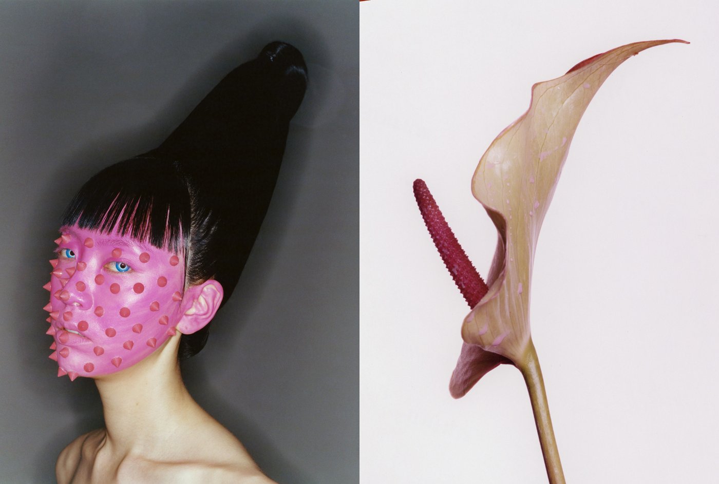 Flower Study by Cho Giseok