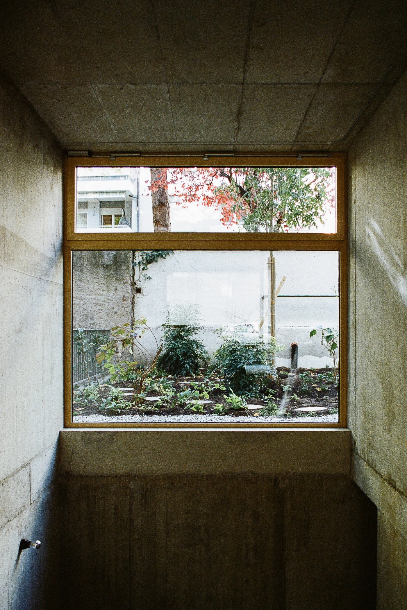 Blaesi by Wallimann Reichen