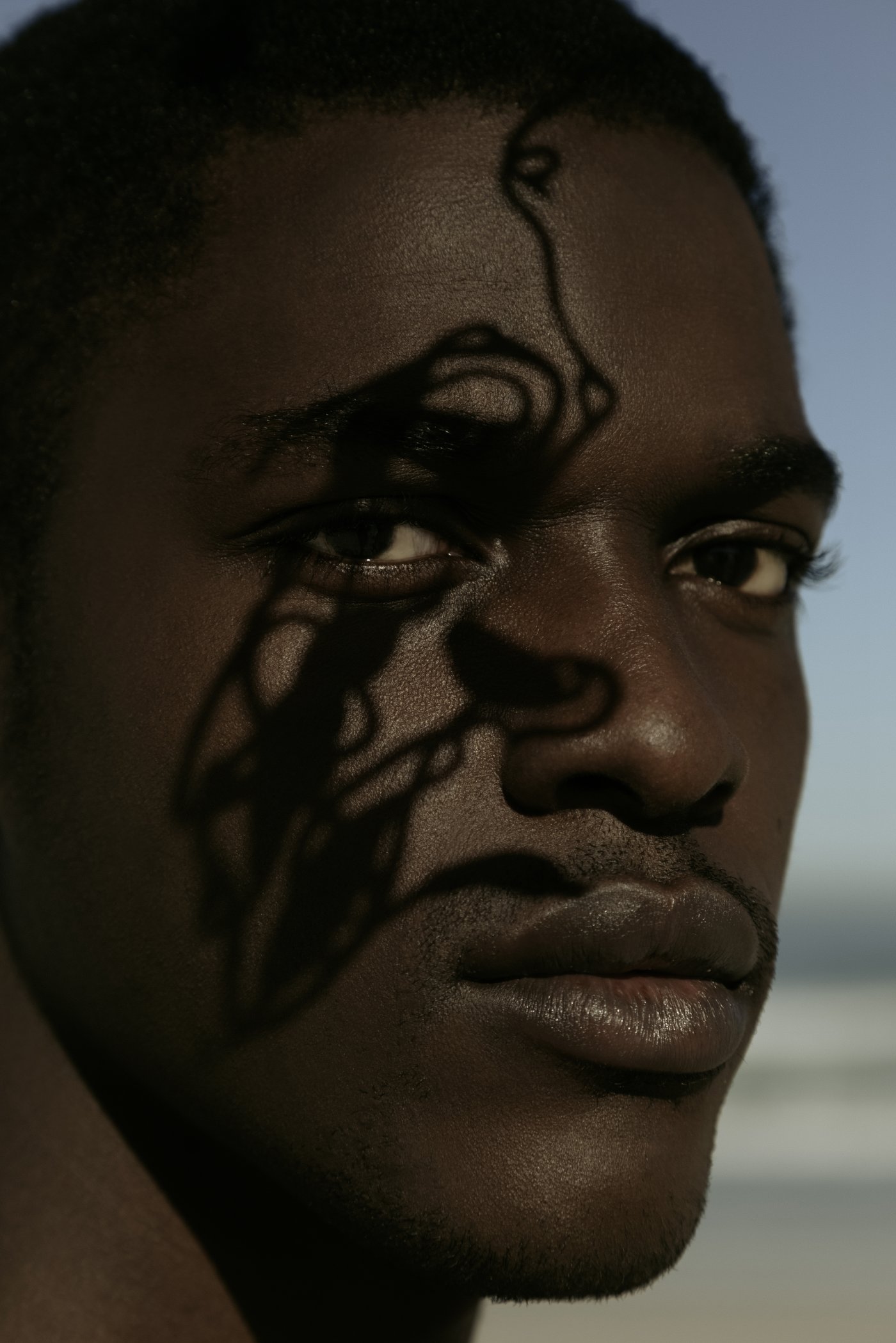 Selected works by Michael Oliver Love