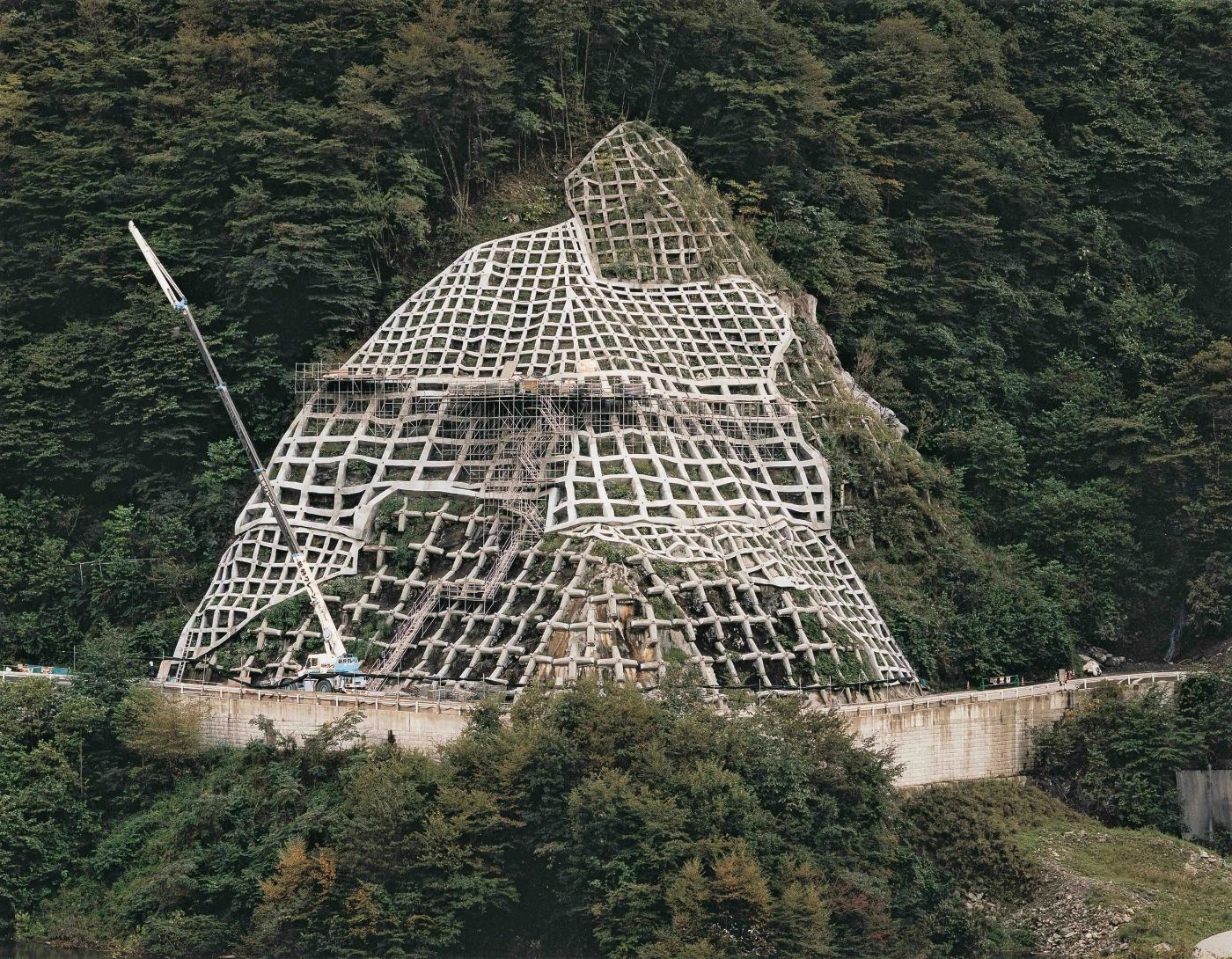 Selected Works by Toshio Shibata