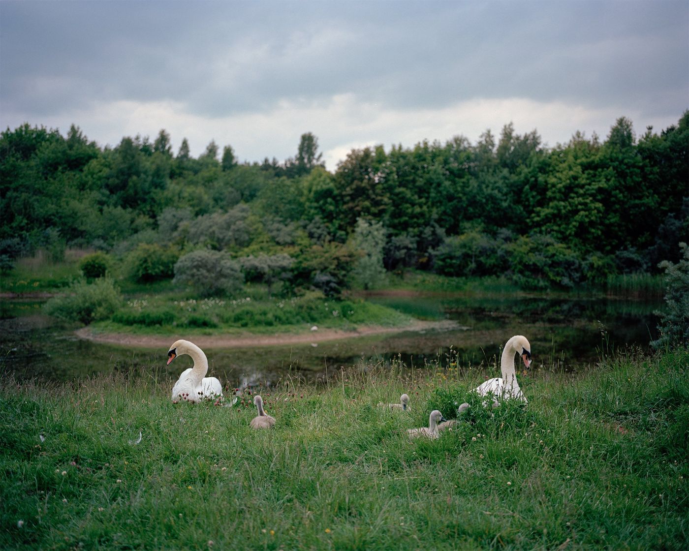 'Thanks Maggie' by David Severn