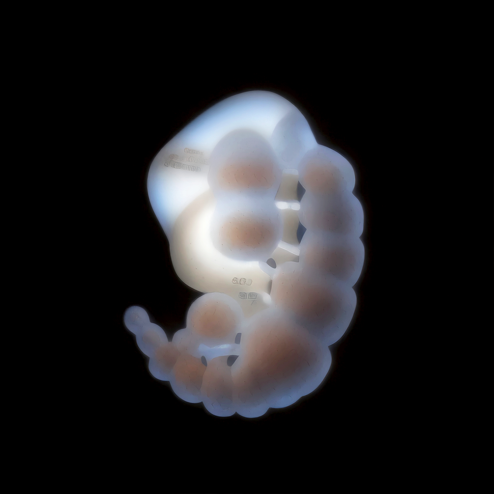 neo embryo:genesis by SYS™