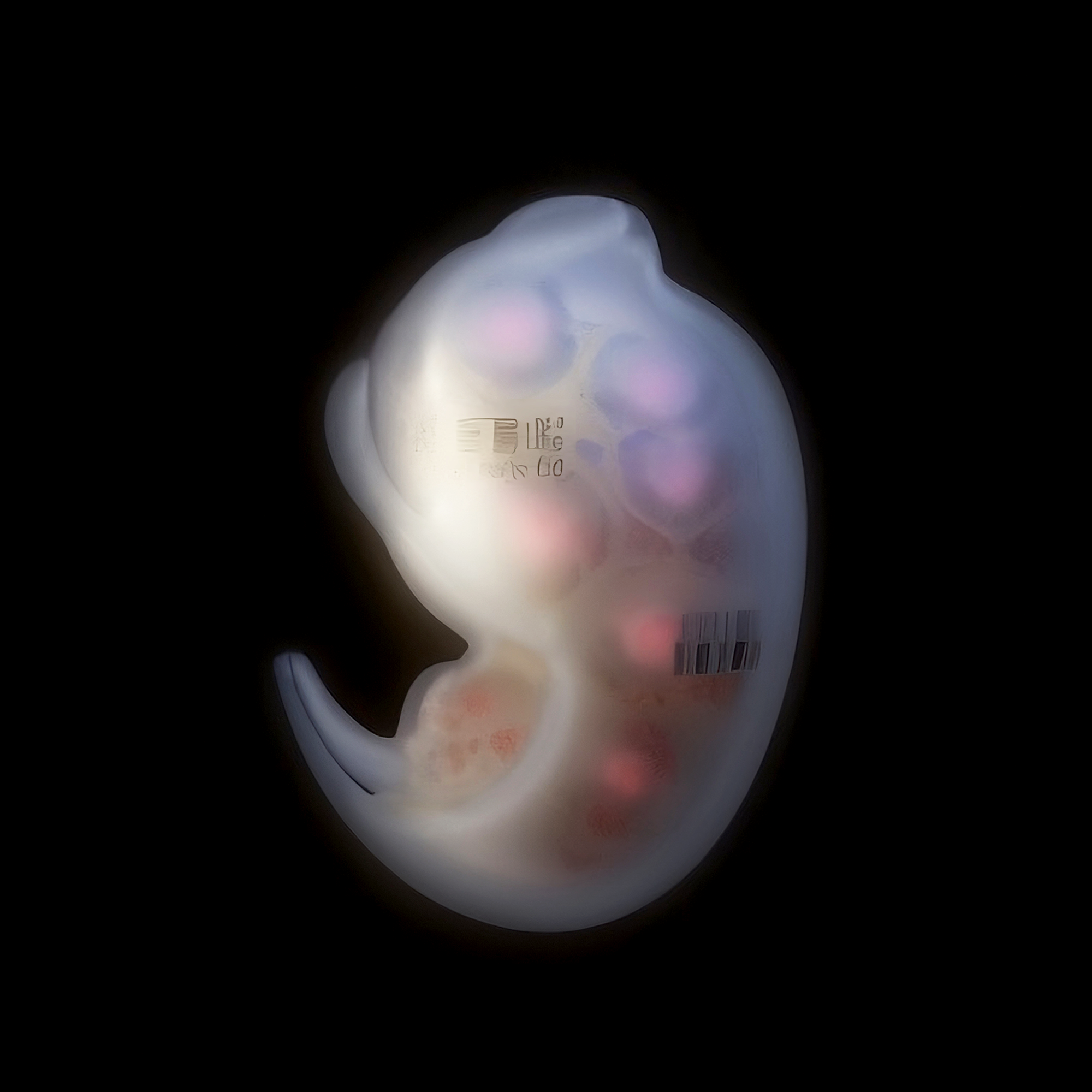 neo embryo:genesis by SYS™