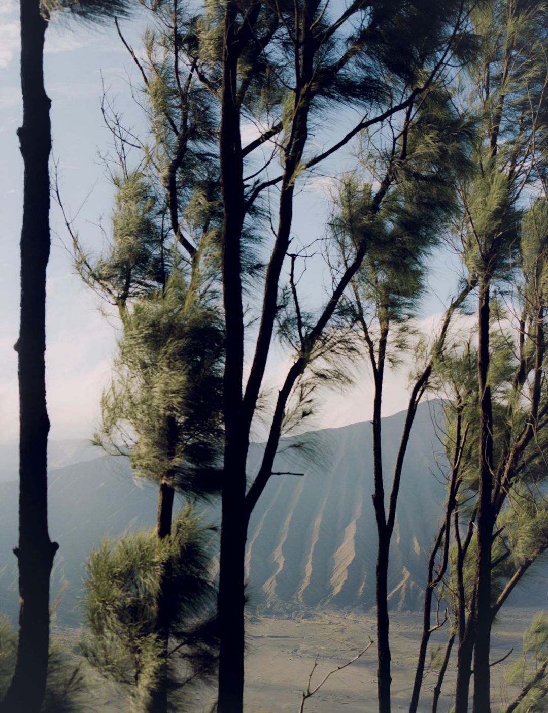 Selected Works by Umit Savaci