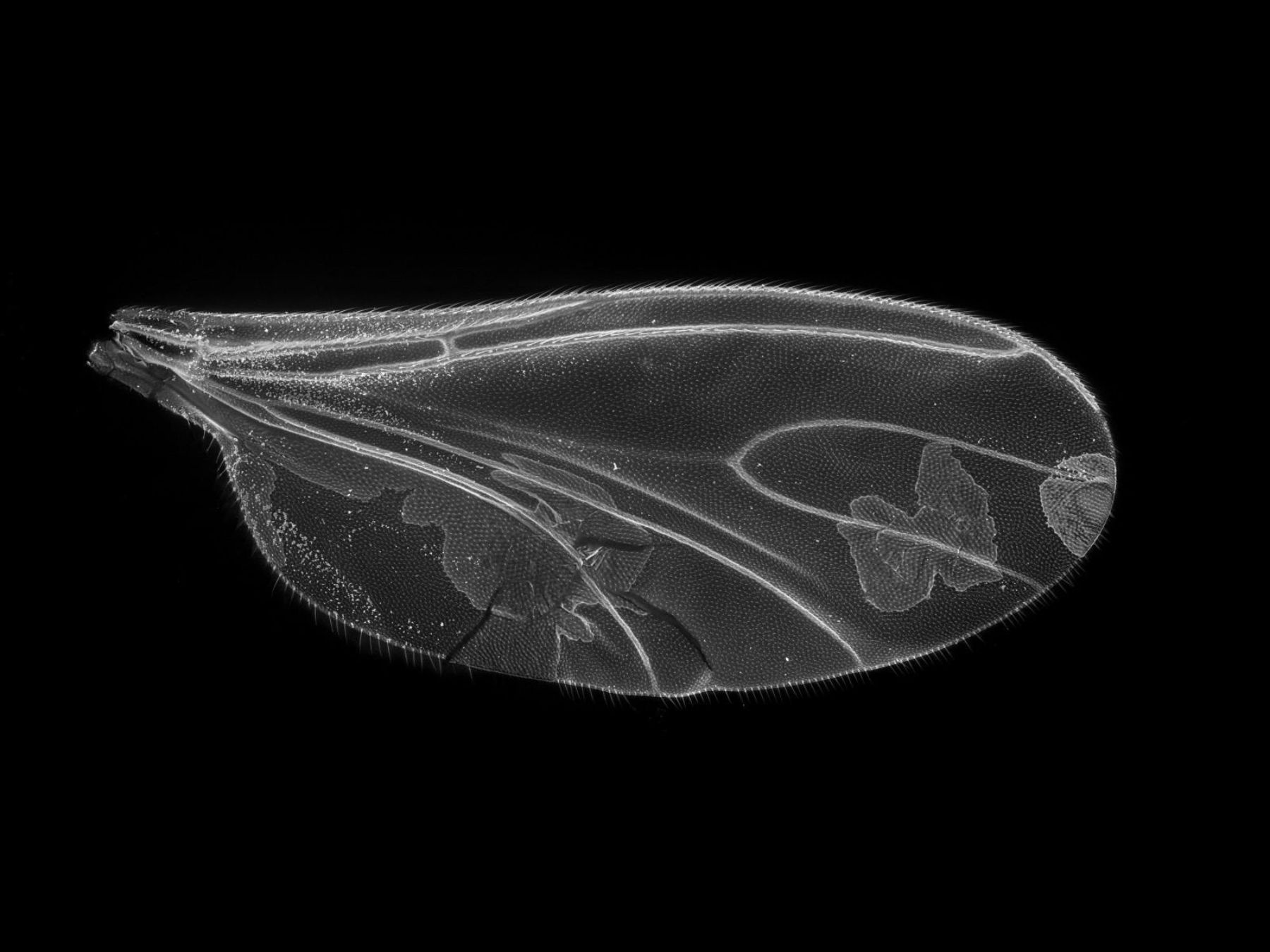 Ground Noise by Celine Clanet