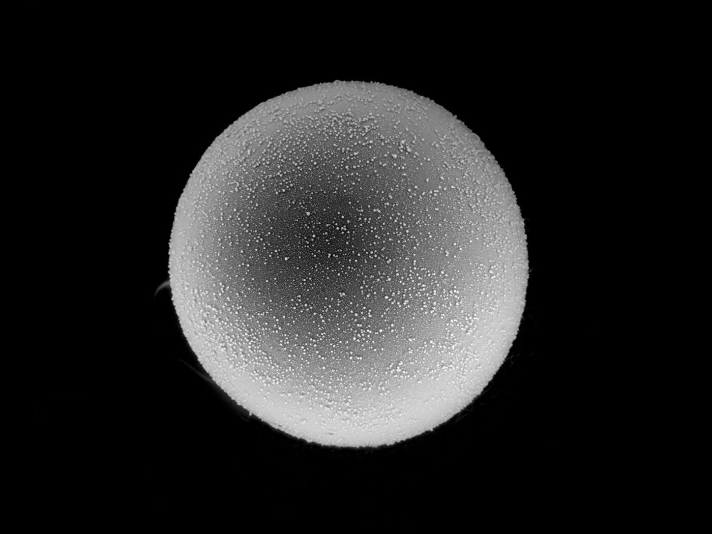 Ground Noise by Celine Clanet