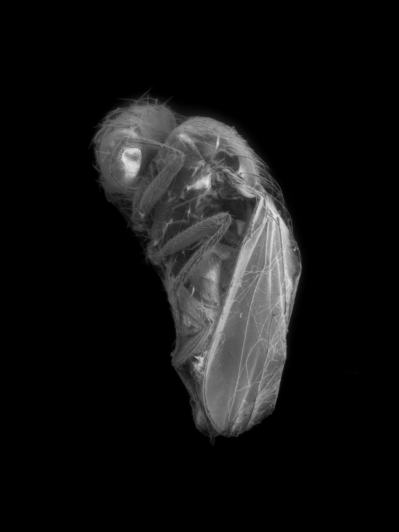 Ground Noise by Celine Clanet